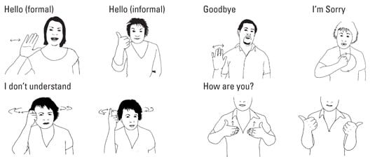Essential Expressions In British Sign Language Dummies Essential Expressions In British Sign Language Dummies