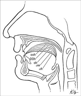 Exploring the Back Vowels in Singing - dummies