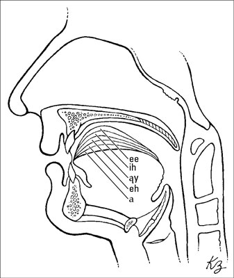 Exploring the Front Vowels in Singing - dummies