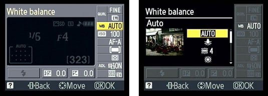 Adjusting White Balance Settings on a Nikon D3100 - dummies