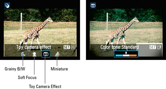 Canon 60D Creative Filters - dummies