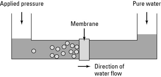 Environmental Science: How to Create Fresh Water - dummies