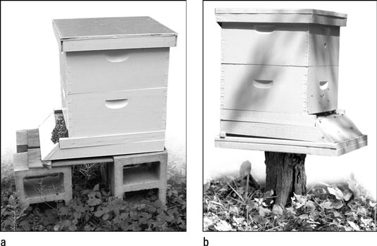 11 Tips for Extending the Life of Your Beehive Equipment - dummies