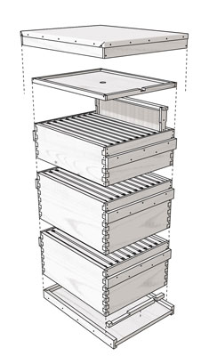How to Assemble the Langstroth Hive - dummies