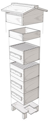 How to Assemble the Warré Hive - dummies