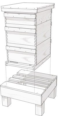 How to Assemble an Elevated Hive Stand - dummies