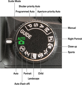 Finding Controls on a Digital SLR Camera - dummies
