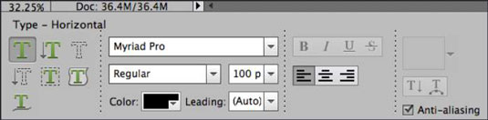 Create Paragraph Type in Adobe Photoshop Elements - dummies