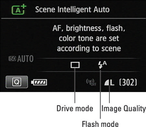 How to Use Auto Mode on a Canon EOS 70D - dummies