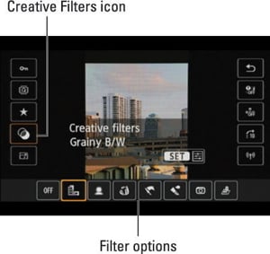 Using Creative Filters on a Canon EOS 70D - dummies
