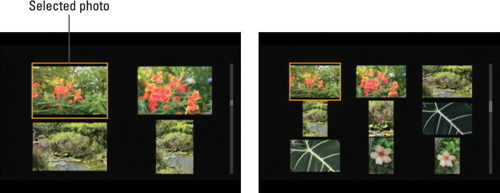 Image Playback Modes on a Canon EOS 70D - dummies