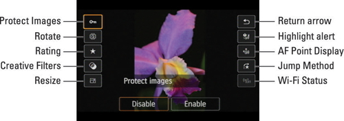 Image Playback Modes on a Canon EOS 70D - dummies
