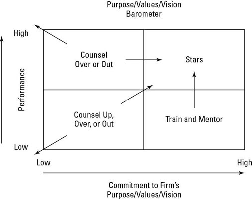 Promote Your Company’s Purpose, Values, and Vision - dummies