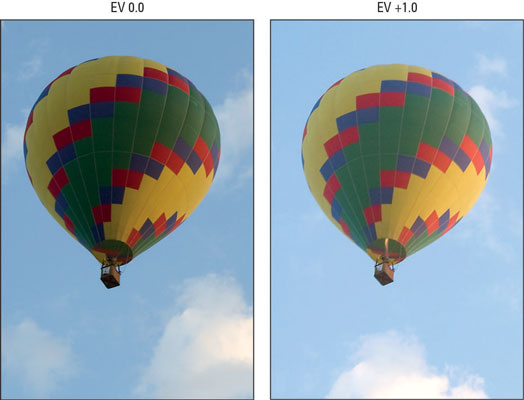 How to Apply Exposure Compensation on Your Nikon D5300 - dummies