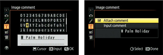 10 Nikon D5300 Special-Purpose Features - dummies