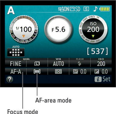 The Nikon D3300’s Autofocusing System - dummies