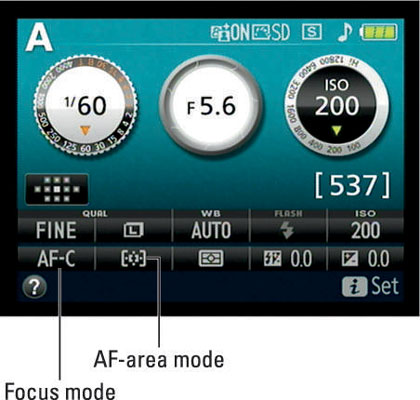 Nikon D3300: Focusing on Moving Subjects - dummies