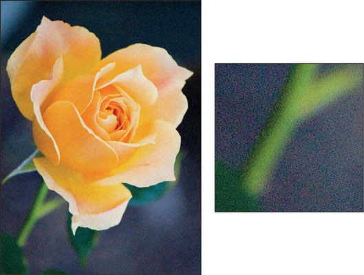 ISO and Image Noise with the Nikon D3300 - dummies