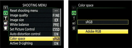 Choose a Color Space for the Nikon D3300 - dummies