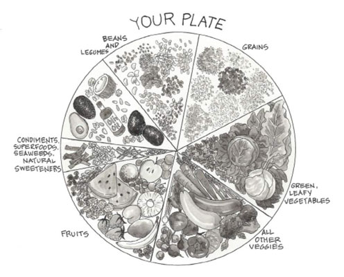 Dishing Up the Right Proportions in a Plant-Based Diet - dummies