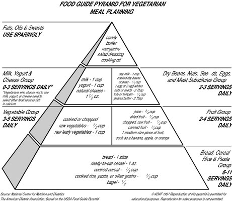 USDA Recommendations for a Vegetarian Diet - dummies
