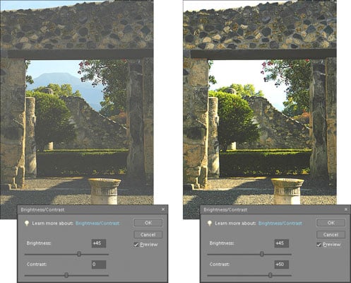 Using Basic Brightness/Contrast Controls on Your Digital Image - dummies