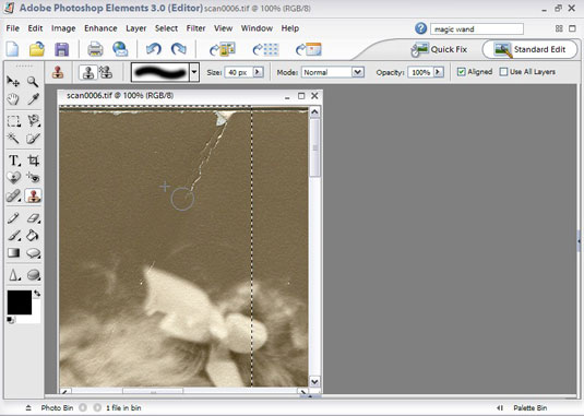 How to Remove Scratches and Spots from a Scanned Photo - dummies