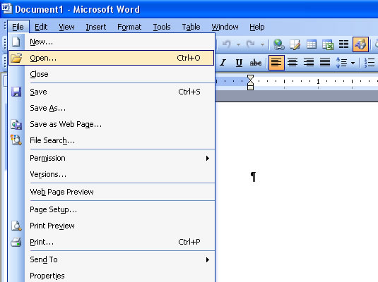 Open and Close a Document - dummies
