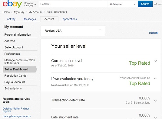 eBay’s Software and Services - dummies