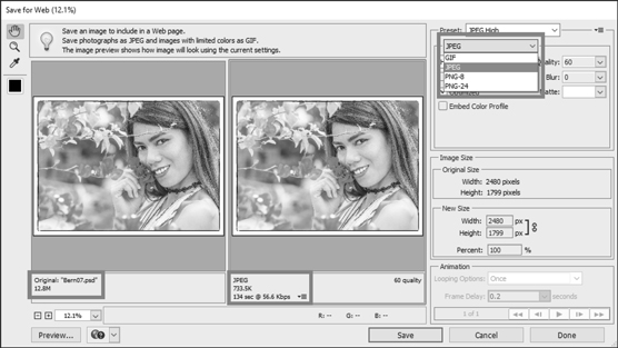 How to Save Photoshop Elements Files with Purpose - dummies
