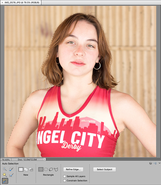 How to Select Your Subject in Photoshop Elements - dummies