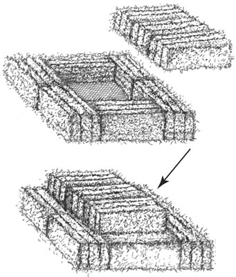 Homesteading: How to Find the Perfect Place for Cold Storage - dummies