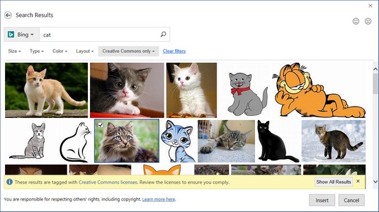 How to Add and Edit Pictures in Office 2019 - dummies