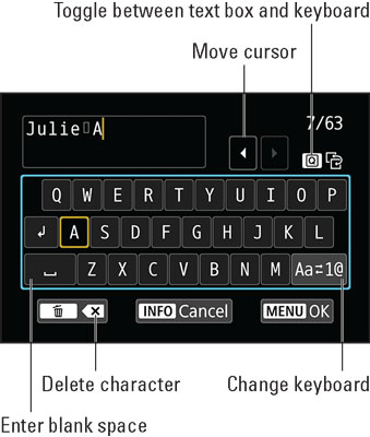 10 Customization Options for the Canon EOS Rebel T7i/300D - dummies