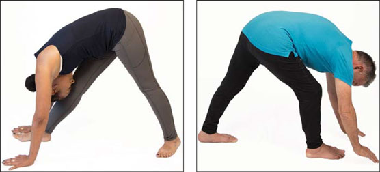 20 Great Postures for the 50-Plus Yogi - dummies